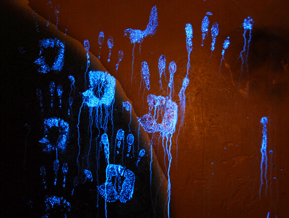 Crime Scene Section | Iowa Department of Public Safety